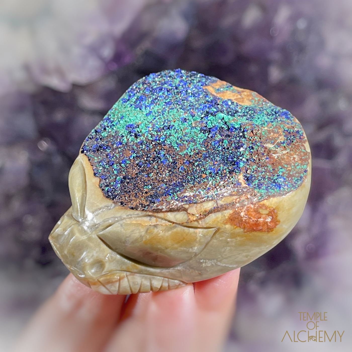 Main Page Latest Collection - Temple of Alchemy