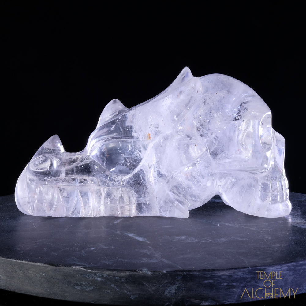 Citrine Dragon Crystal Skull by Leandro Souza - Temple of Alchemy