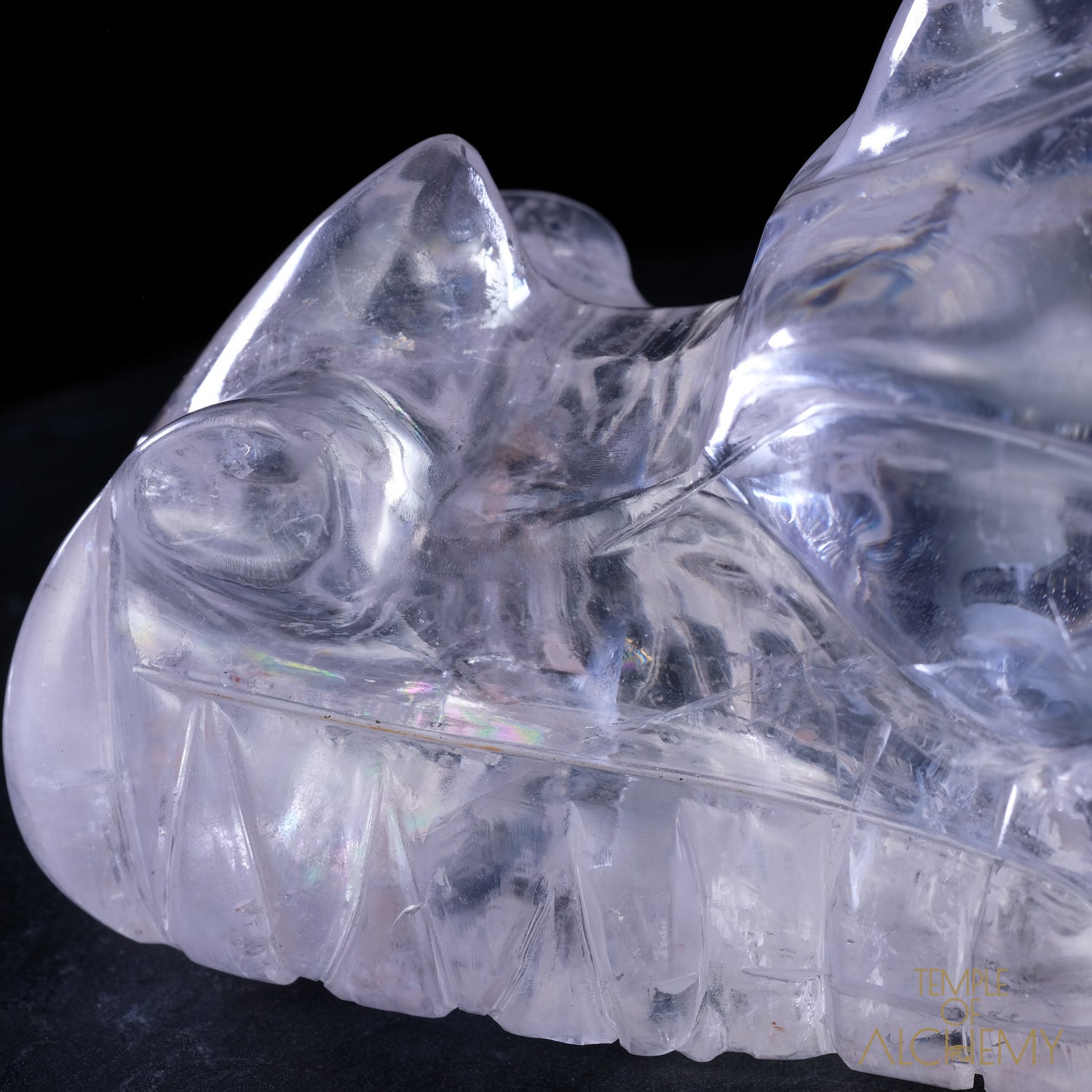 Citrine Dragon Crystal Skull by Leandro Souza - Temple of Alchemy