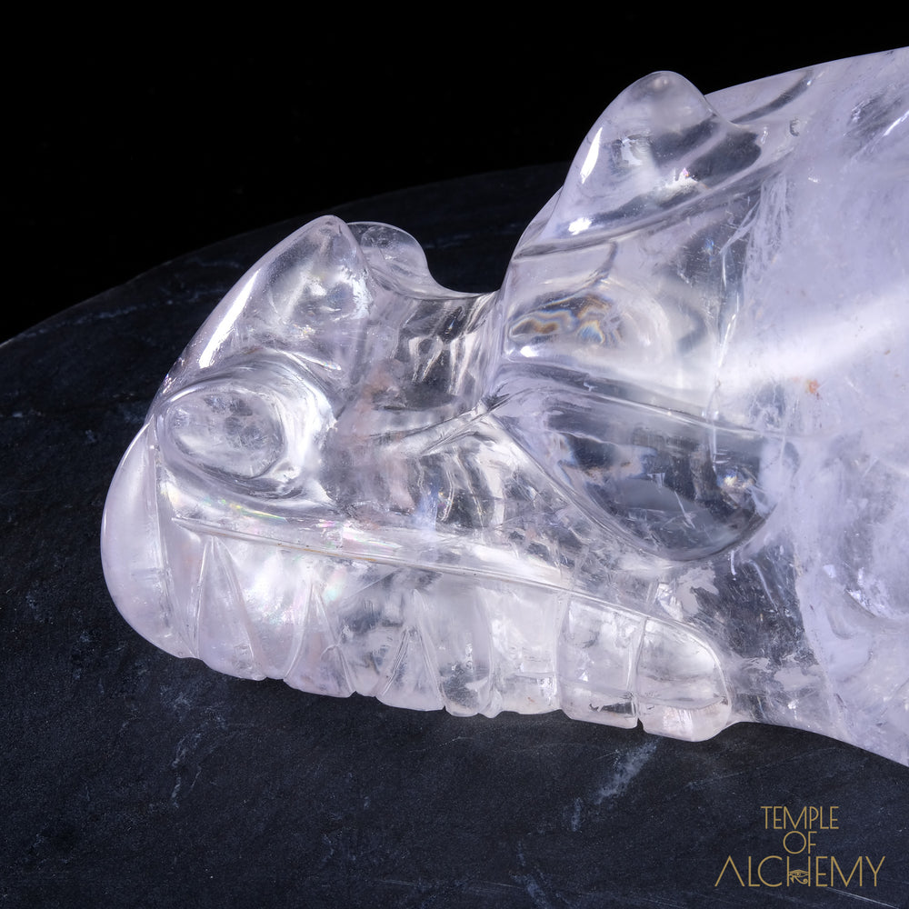 Citrine Dragon Crystal Skull by Leandro Souza - Temple of Alchemy